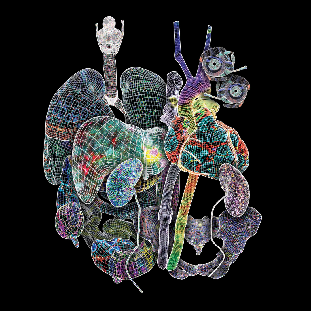 Ignite Your Scientific Visualization: NIH 3D and BioArt Source – Region ...