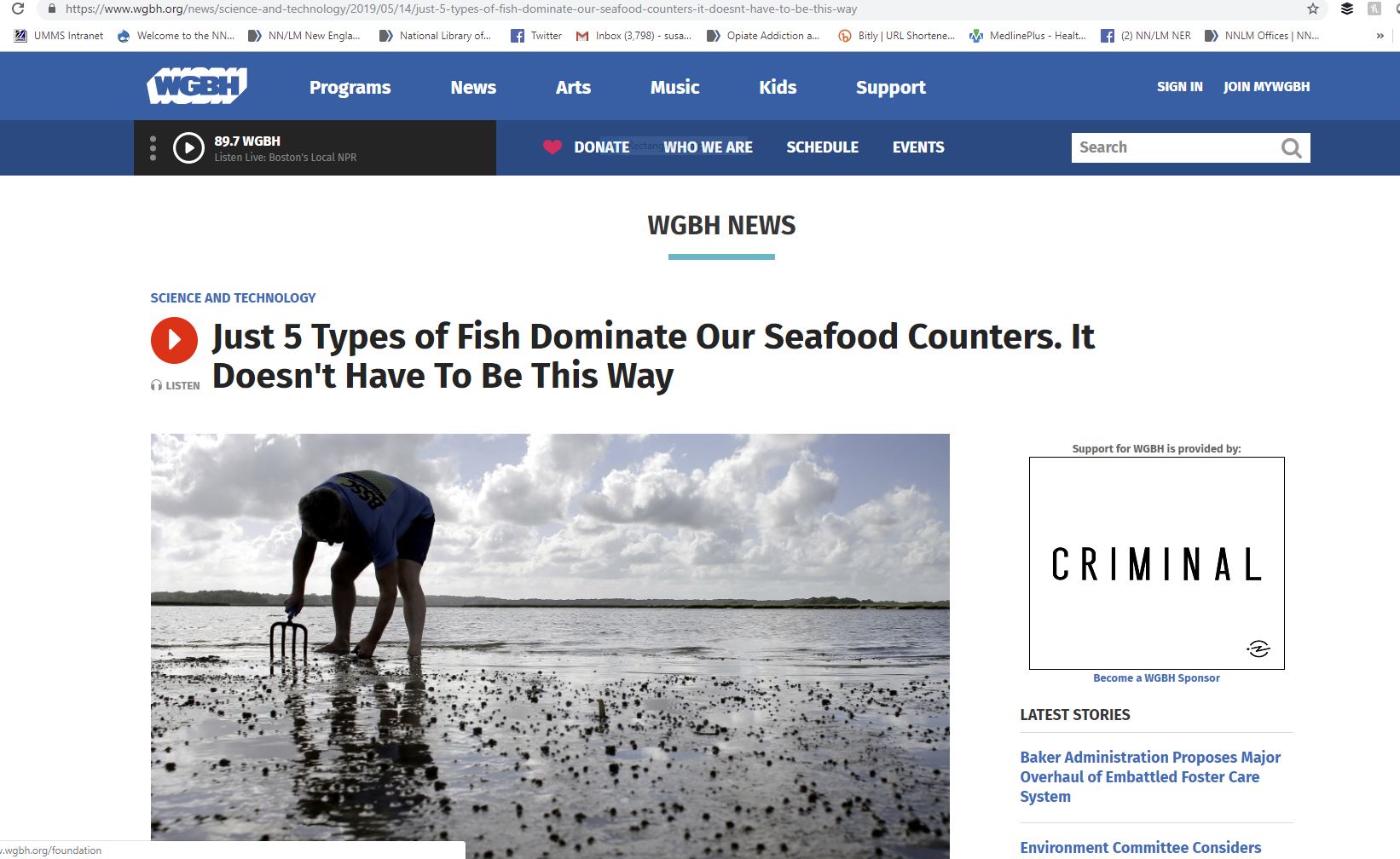 Just 5 types of fish article Capture – Region 7 Update